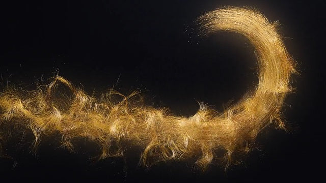 Particle – Cheese Motion