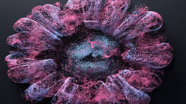 Particle – Cheese Motion